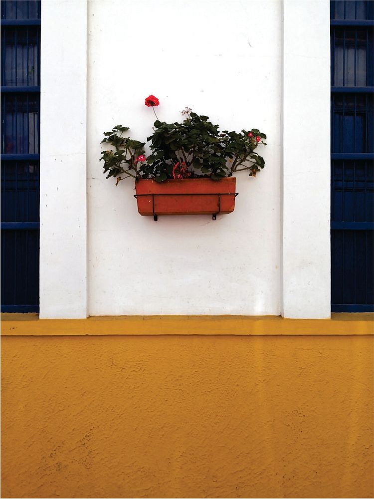 Maceta Images | Free Photos, PNG Stickers, Wallpapers & Backgrounds ...