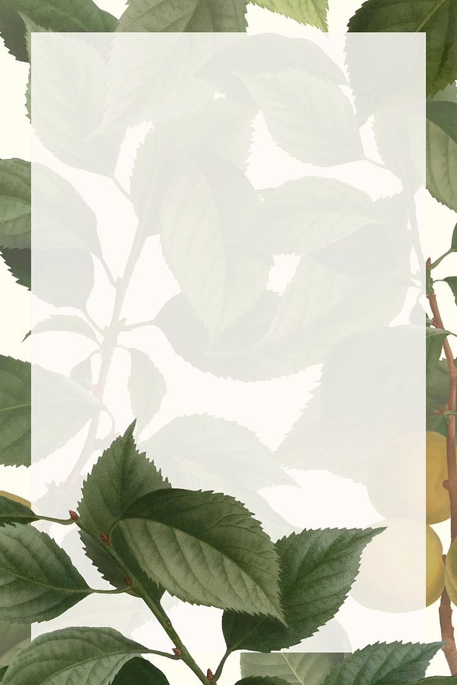 Frame briançon apricot background vector | Premium Vector - rawpixel