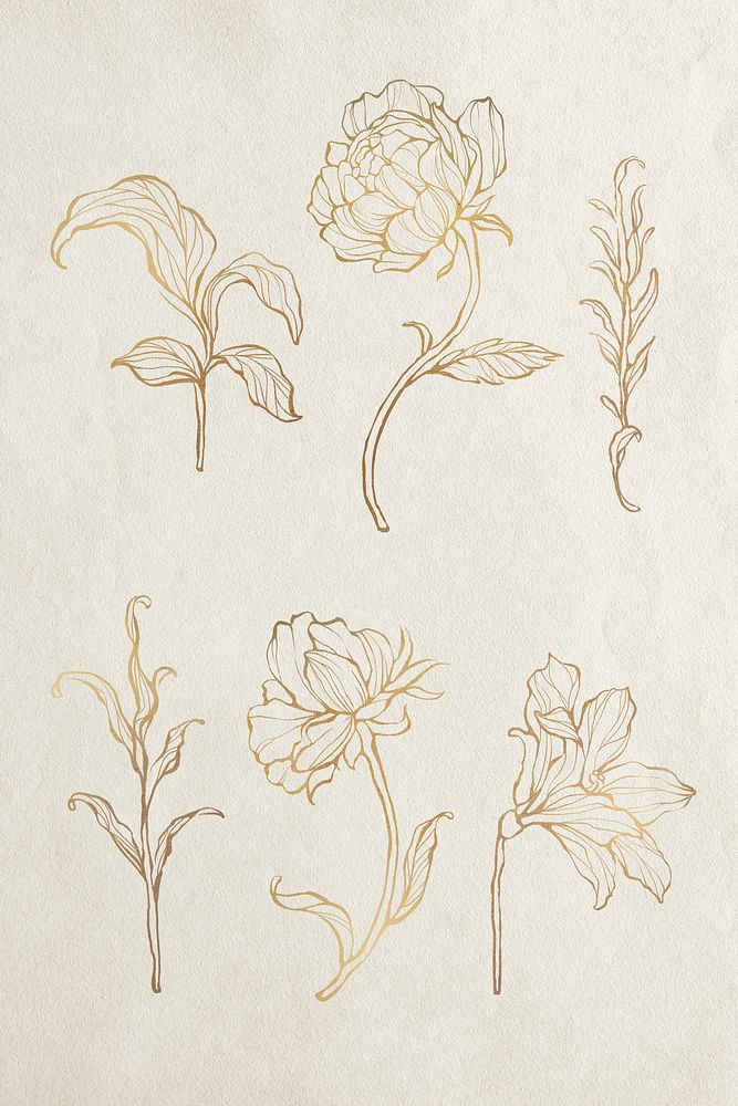 Gold floral outline set | Premium PSD - rawpixel