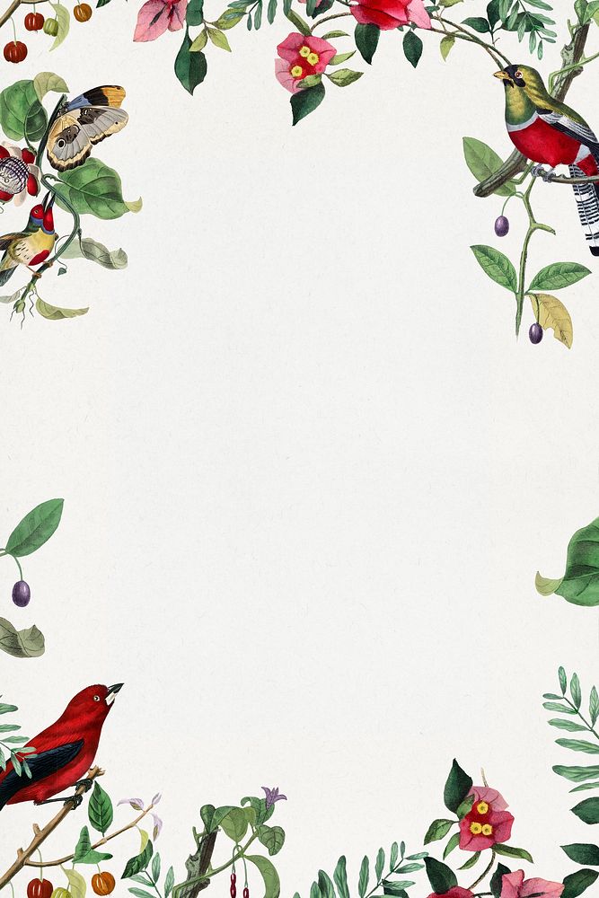 Botanical border frame, beautiful nature | Premium Photo - rawpixel