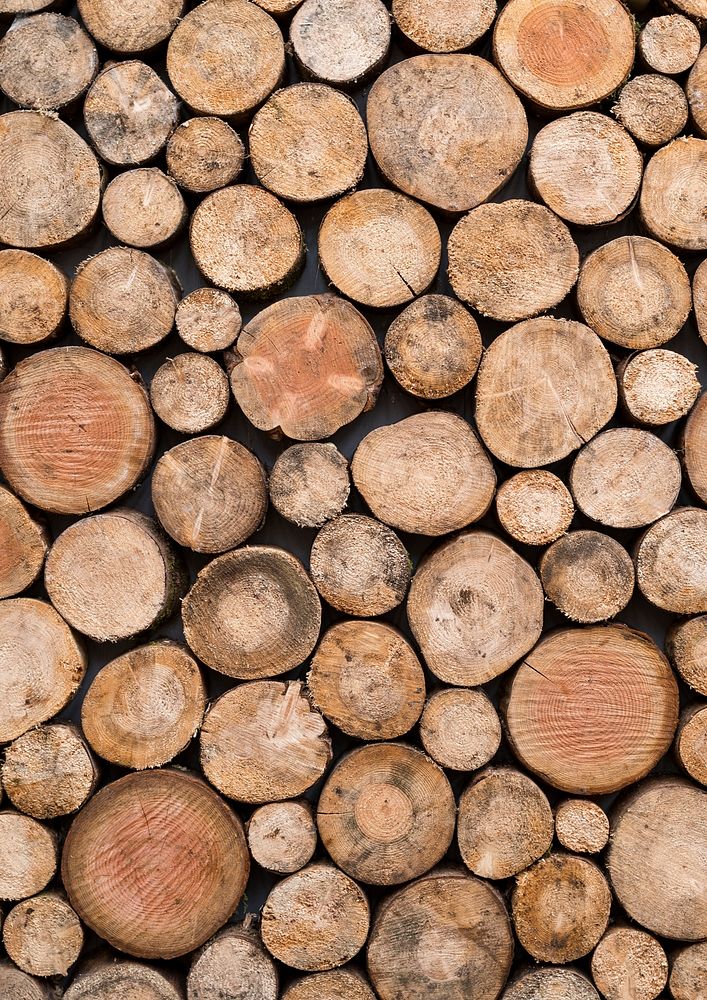 Wood log pattern background, close | Free Photo - rawpixel