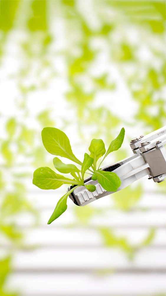 Smart farming mobile wallpaper, agricultural | Free Photo - rawpixel