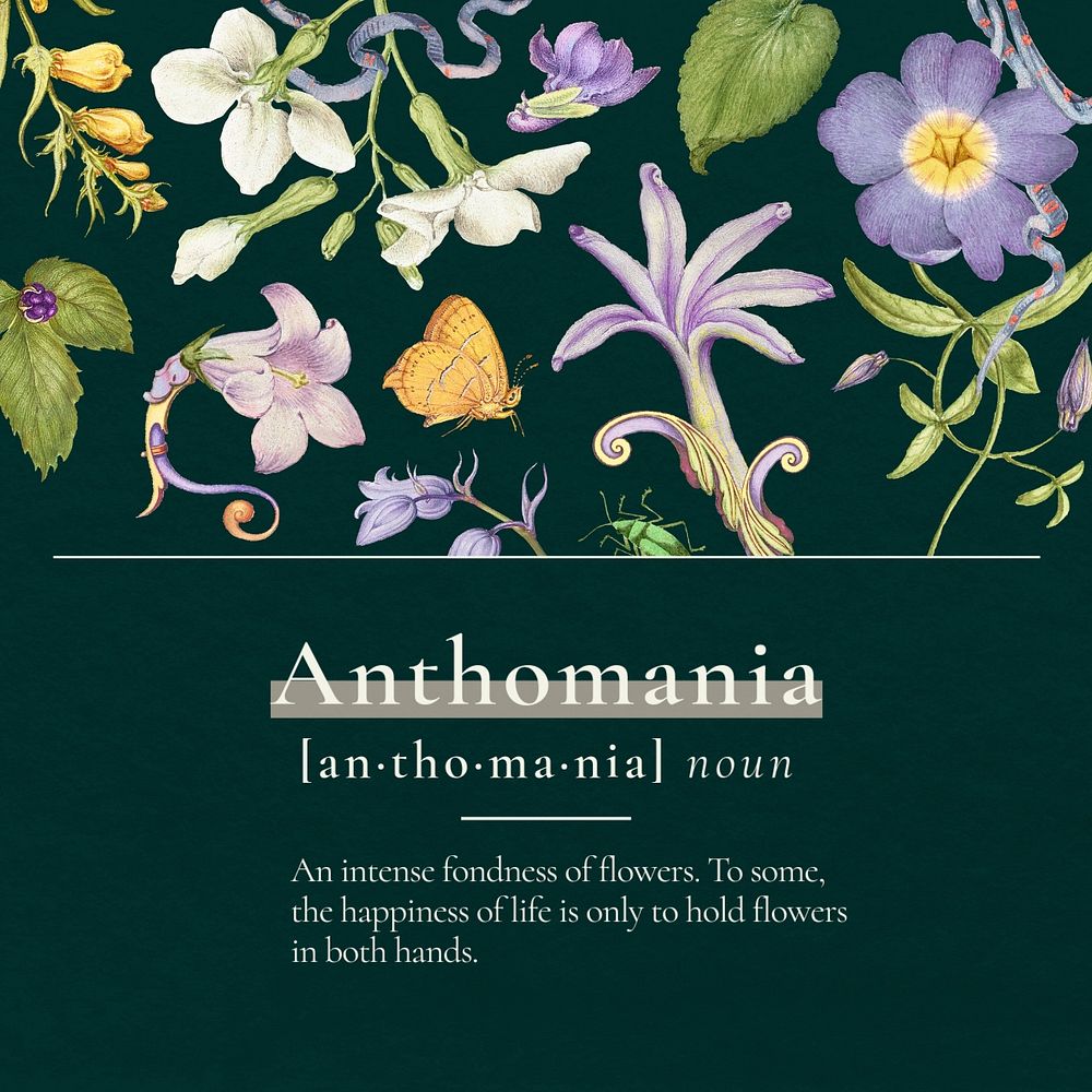 Floral definition Instagram post template | Premium Editable Template ...