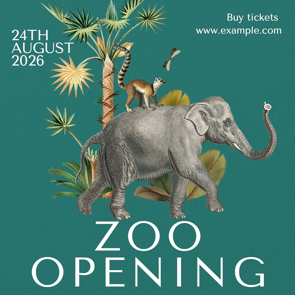 Zoo opening Facebook post template | Premium Editable Template - rawpixel