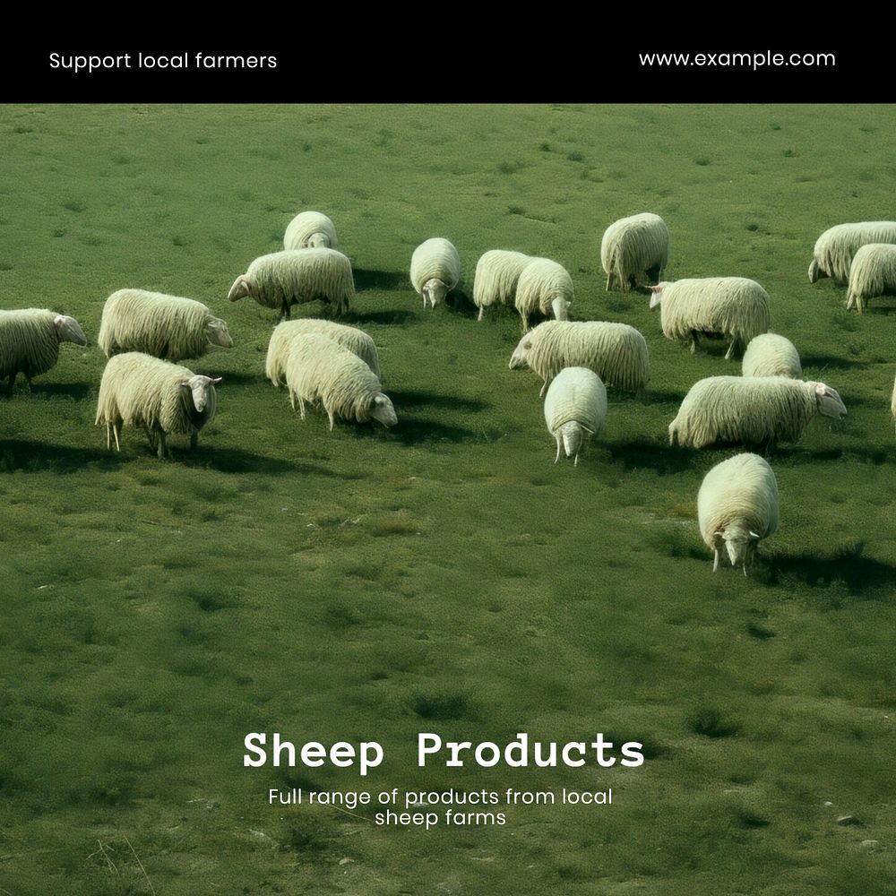 Sheep products Facebook post template | Premium Editable Template ...