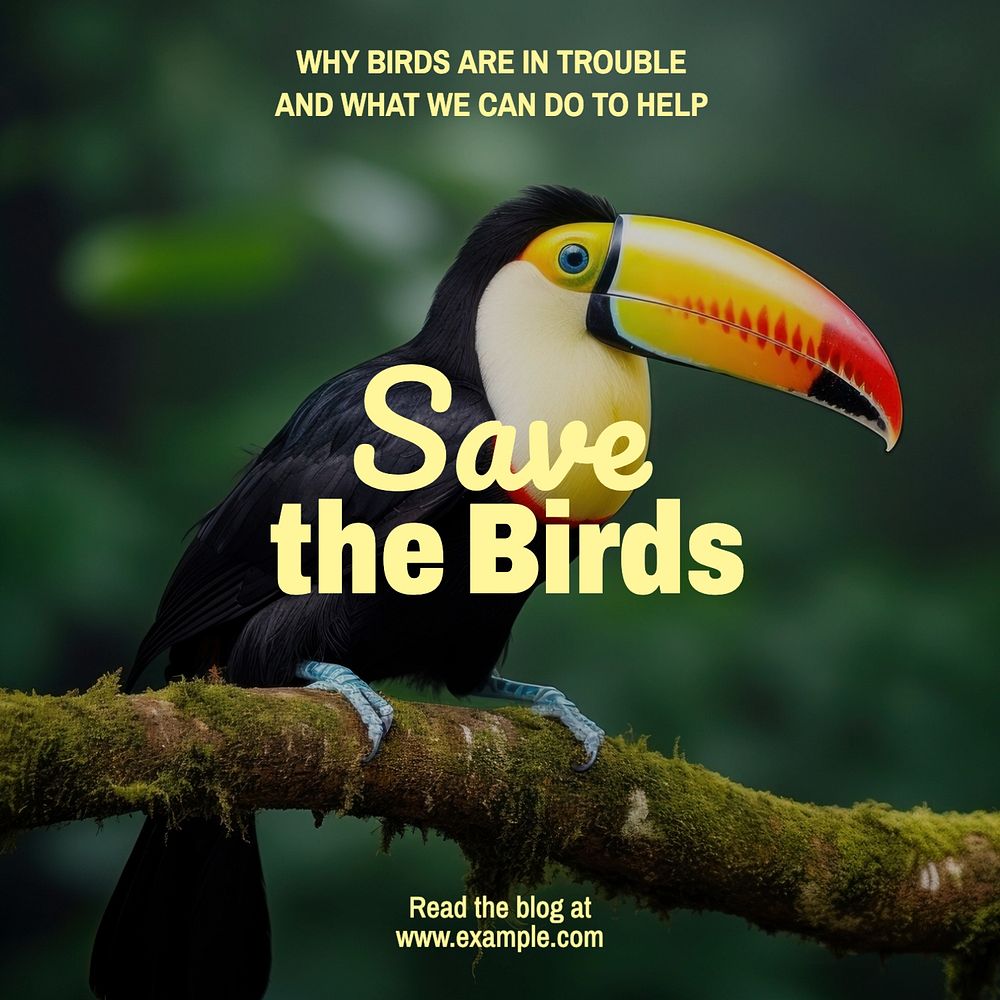 Save birds Instagram post template | Premium Editable Template - rawpixel