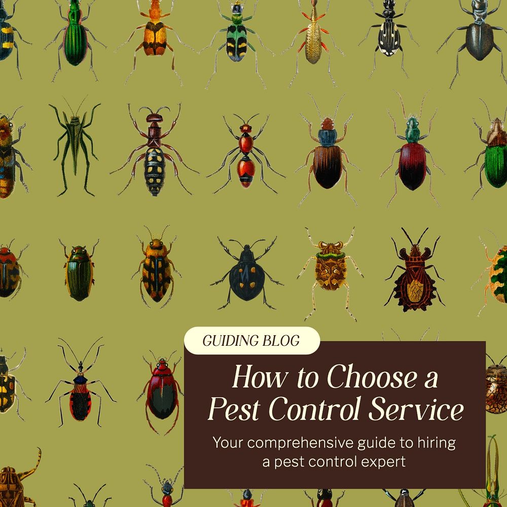 Pest control Instagram post template | Premium Editable Template - rawpixel