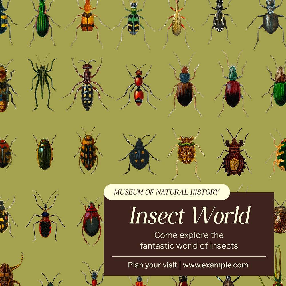 Insects Illustrated Templates | Download Free Designs on rawpixel