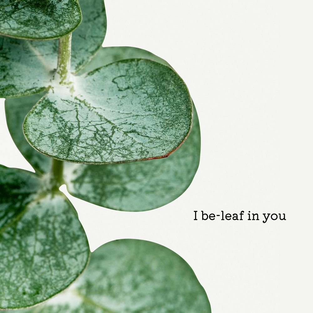 I be-leaf you quote Instagram | Premium Editable Template - rawpixel