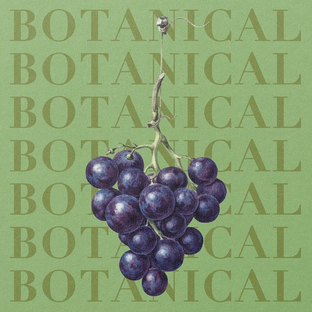 Botanical Facebook post template, editable | Premium Editable Template ...