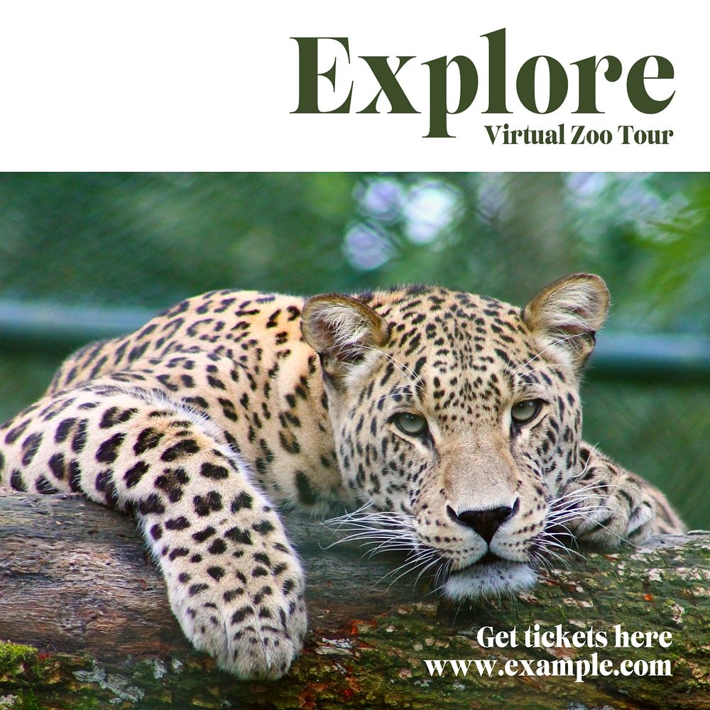 Zoo tour Instagram post template | Premium Editable Template - rawpixel