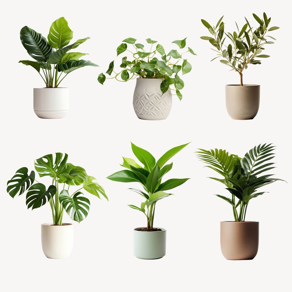 Potted houseplant element set remix | Premium Editable Design - rawpixel