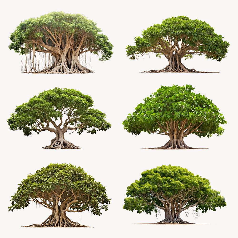 Banyan tree element set, editable | Premium Editable Design - rawpixel
