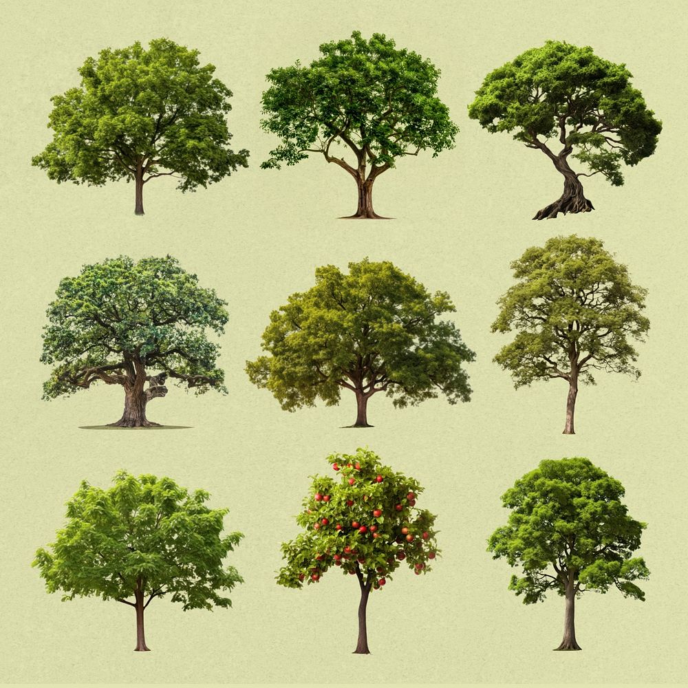 Green tree set, editable design | Premium Editable Design - rawpixel