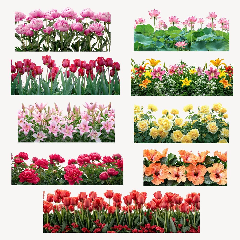 Beautiful flower border set, editable | Premium Editable Design - rawpixel