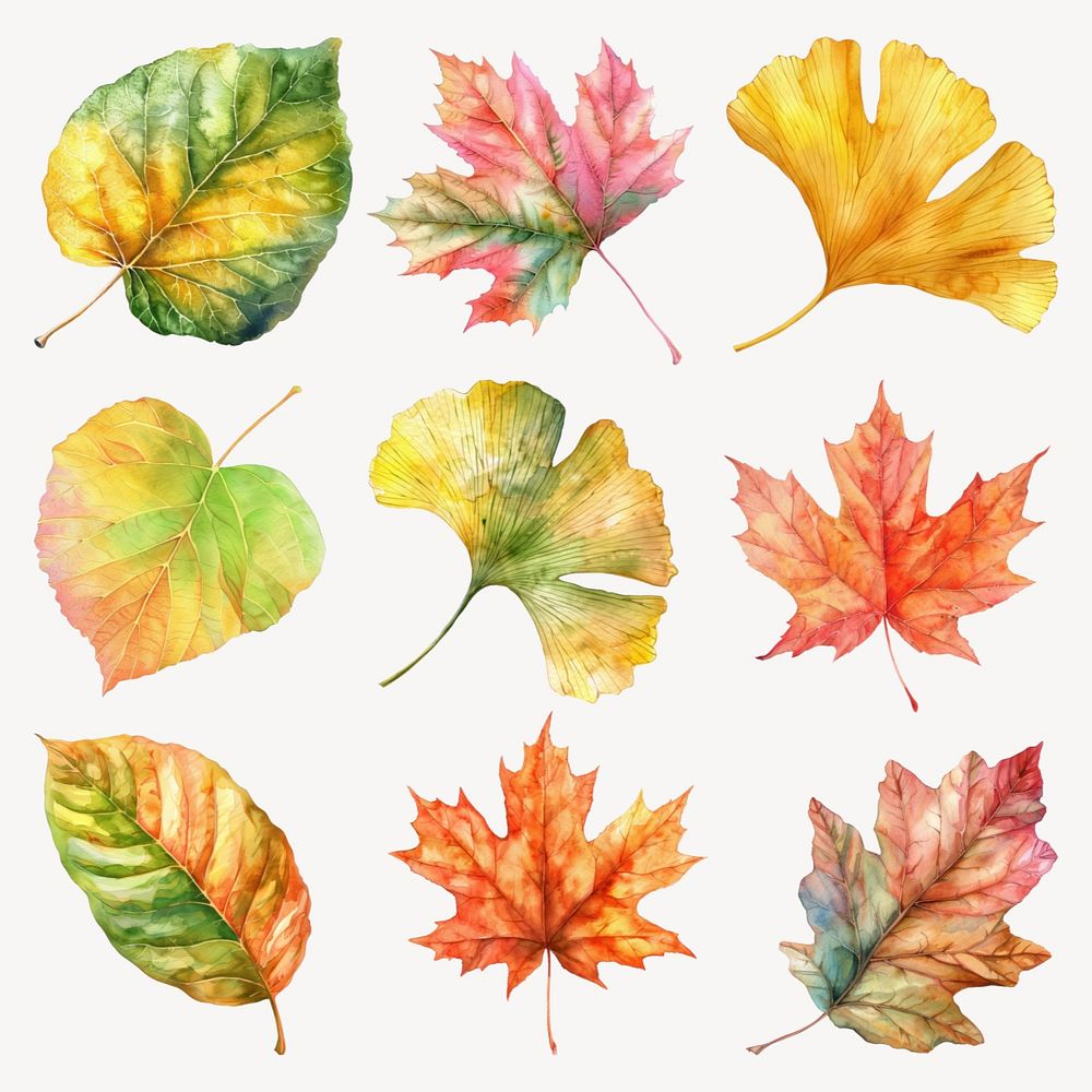 Autumn leaf set, editable design | Premium Editable Design - rawpixel