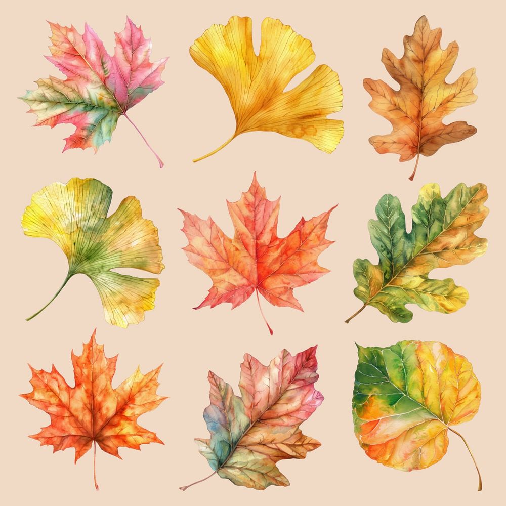 Autumn leaf set, editable design | Premium Editable Design - rawpixel