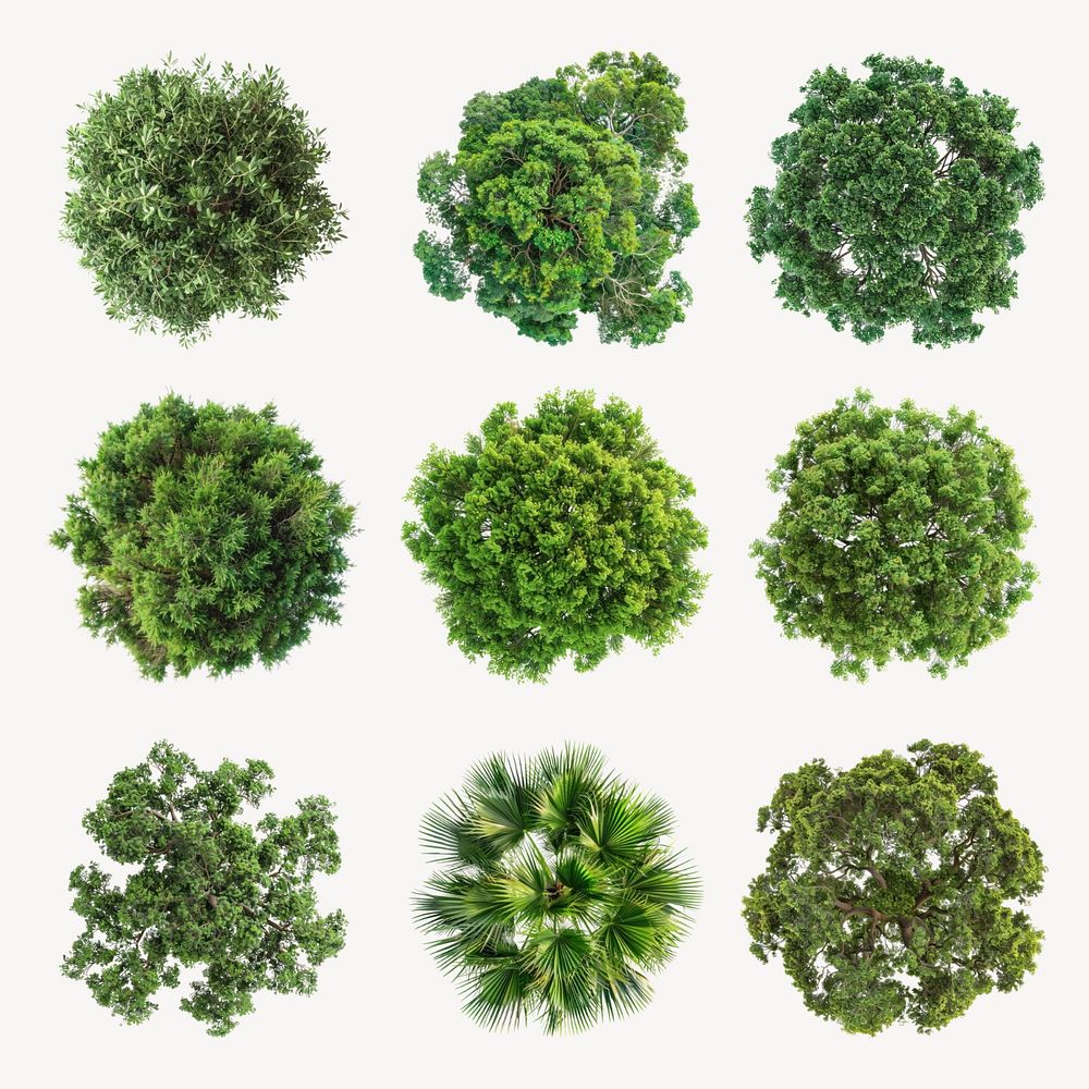 Tree top view set, editable | Premium Editable Design - rawpixel