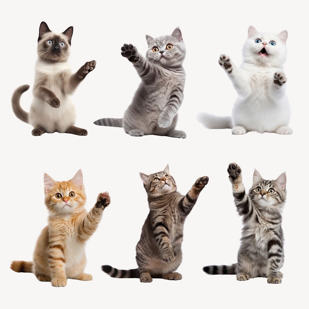 Editable cat waving hand design | Premium Editable Design - rawpixel