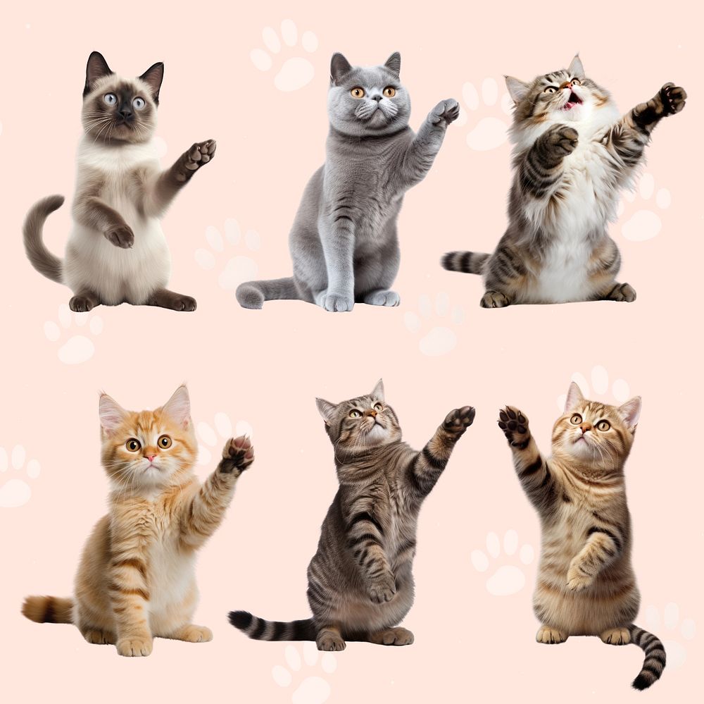 Editable cat waving hand design | Premium Editable Design - rawpixel