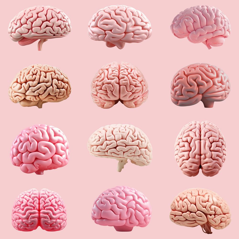 Editable 3d pink human brain | Premium Editable Design - rawpixel