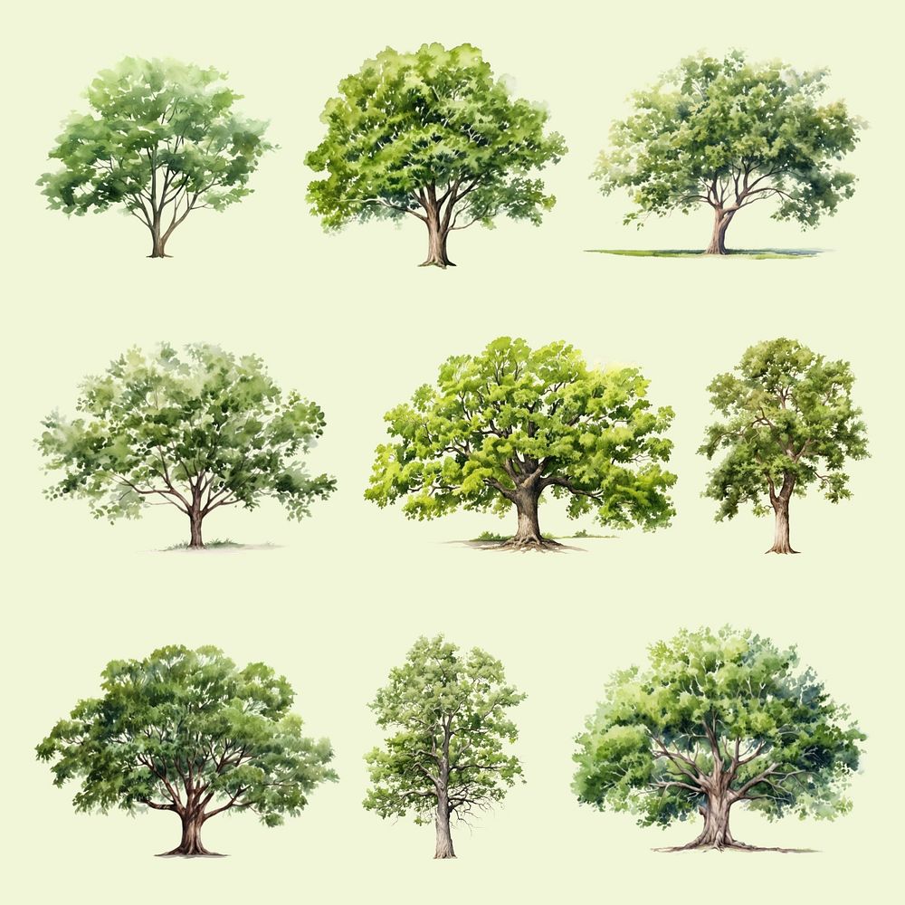 Editable tree design element set | Premium Editable Design - rawpixel