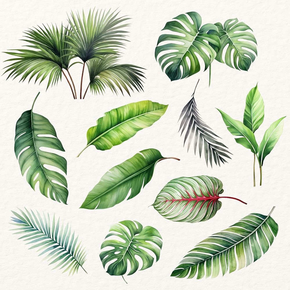 Editable watercolor tropical leaves design | Premium Editable Design ...