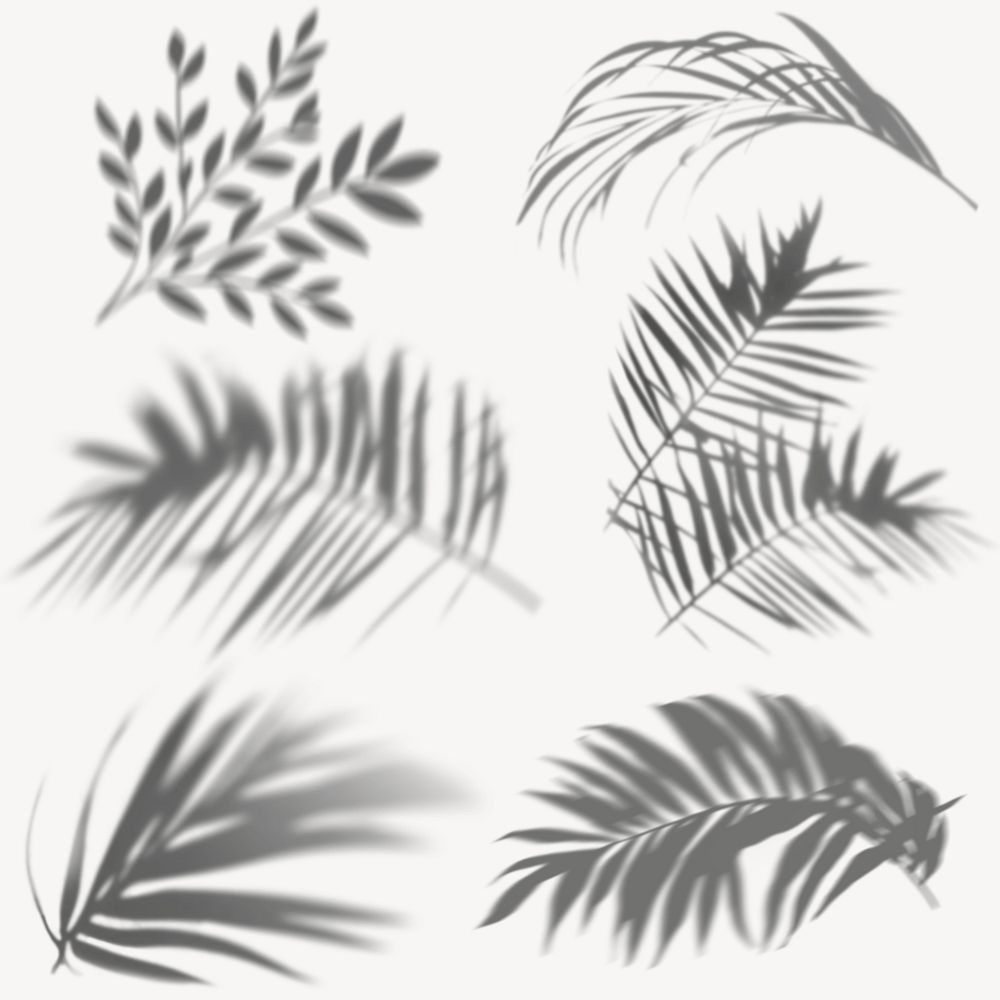 Leaf shadow effect, editable design | Premium Editable Design - rawpixel
