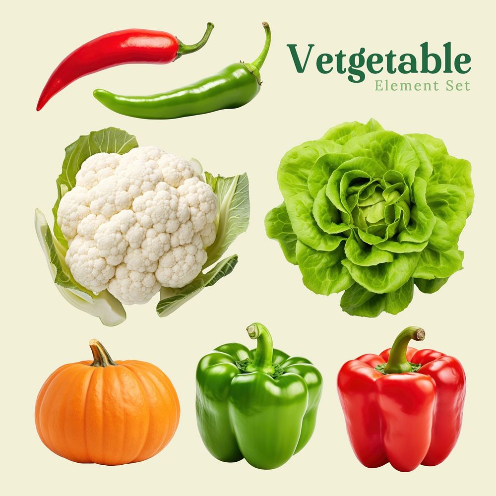 Cauliflower Templates | Download Free Designs on rawpixel