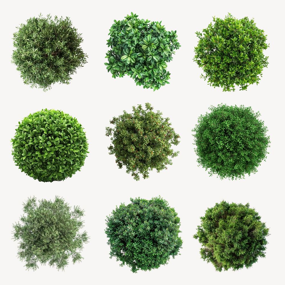 Bushes, editable design element set | Premium Editable Design - rawpixel