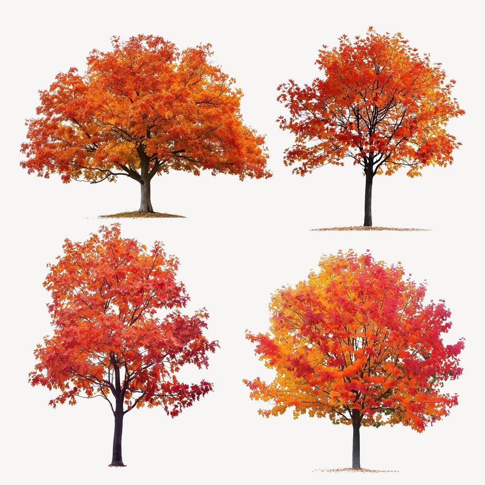 Autumn tree, editable design element | Premium Editable Design - rawpixel