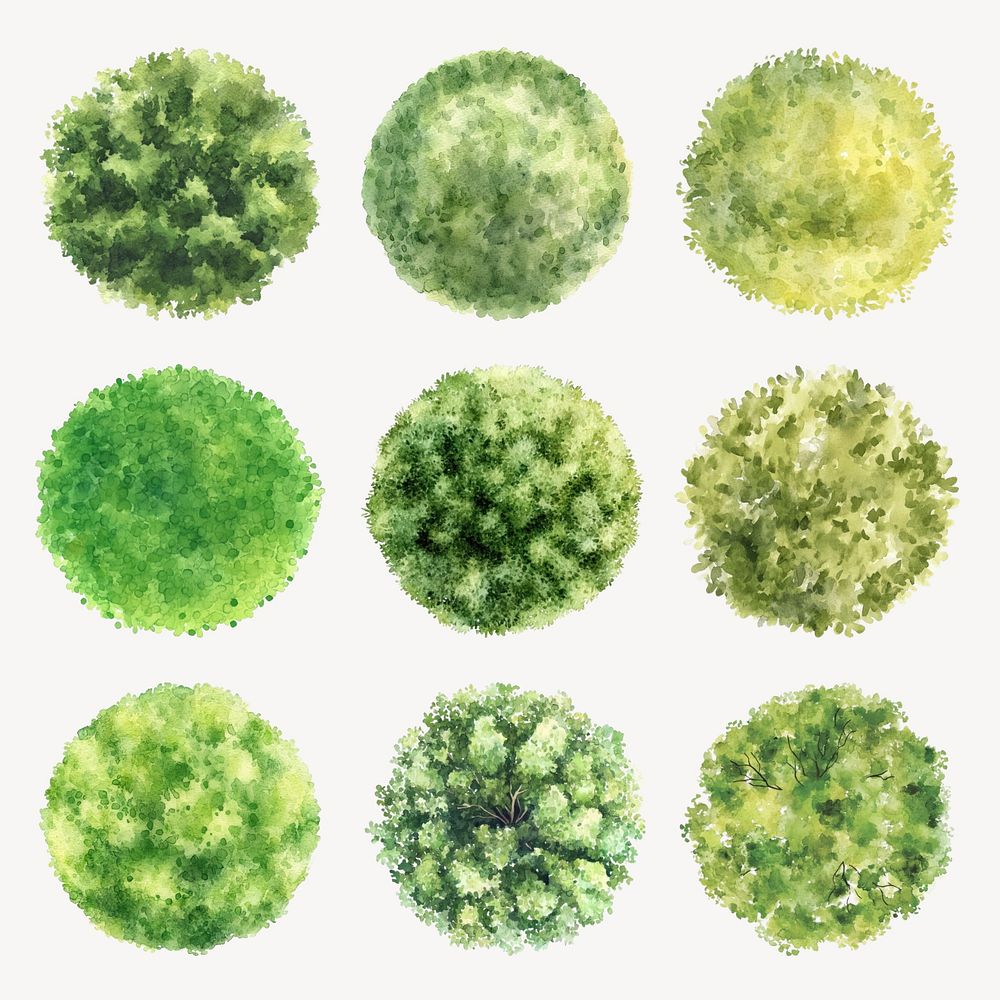 Editable tree top view design | Premium Editable Design - rawpixel