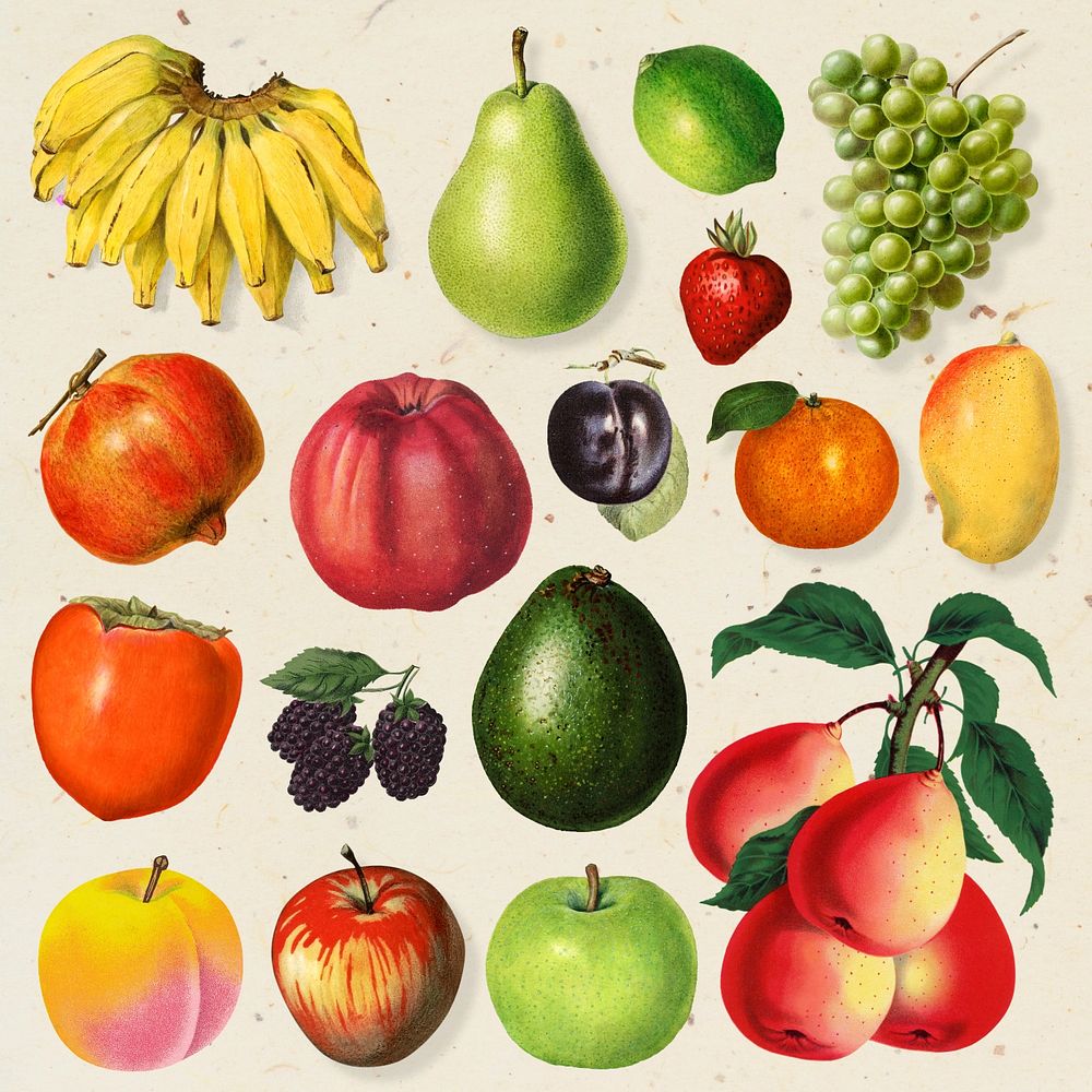 Pear Templates | Download Free Designs on rawpixel