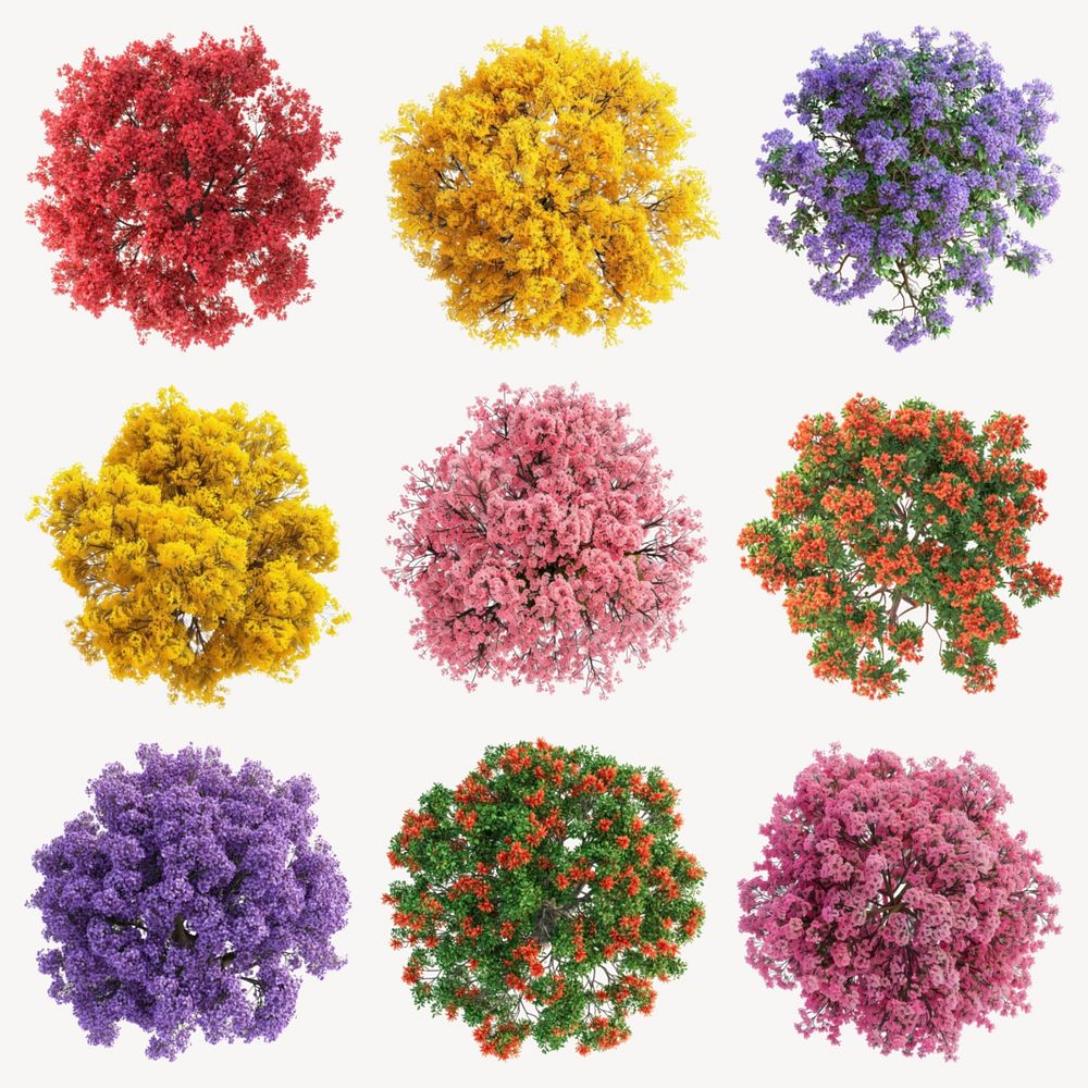 Editable flower tree top view | Premium Editable Design - rawpixel