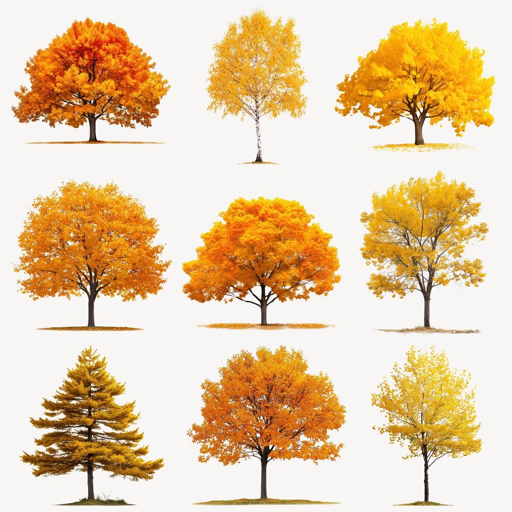 Autumn tree design element set, | Premium Editable Design - rawpixel
