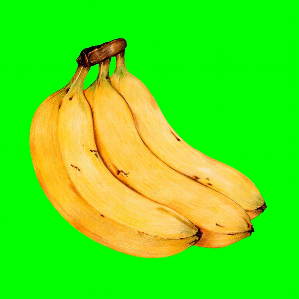 Vibrant bananas animation, transparent 4K | Free Video - rawpixel