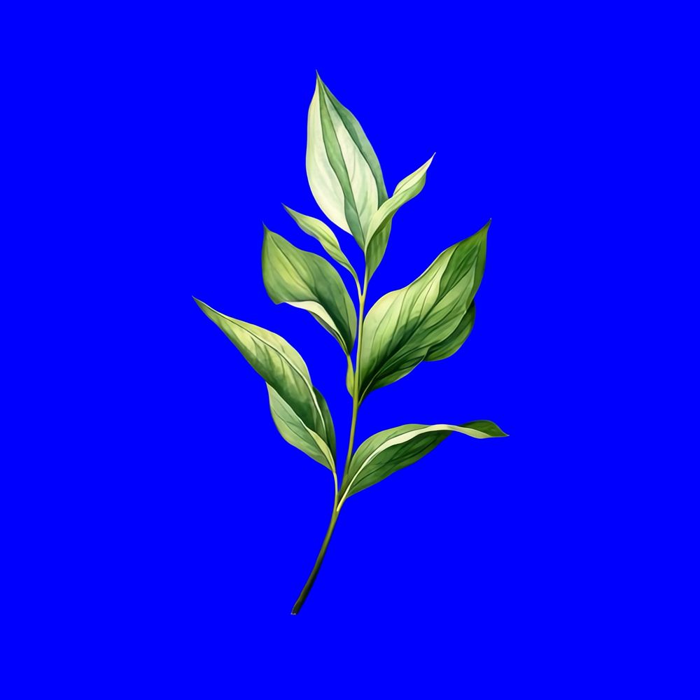 Vibrant botanical leaf illustration animation | Free Video - rawpixel