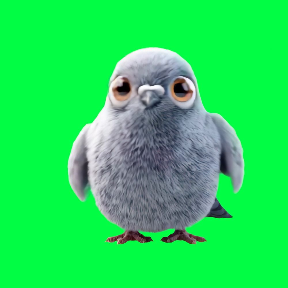 Cute fluffy bird animation animation | Free Video - rawpixel