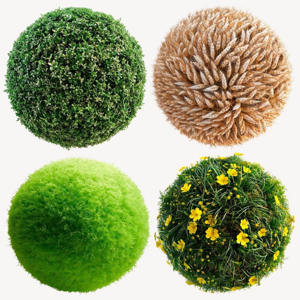 Four unique spherical plant textures | Free PSD - rawpixel