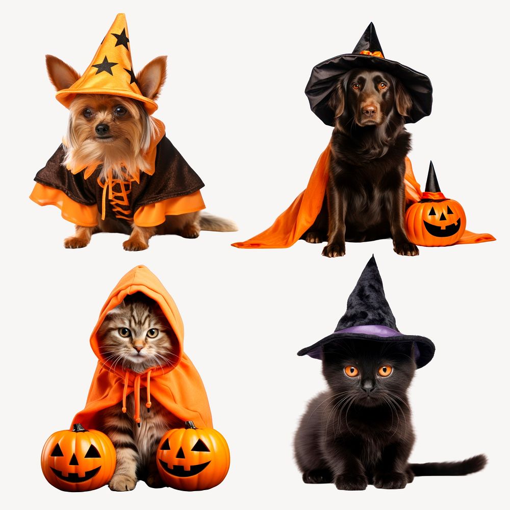 Pets Halloween costumes set psd | Free PSD - rawpixel