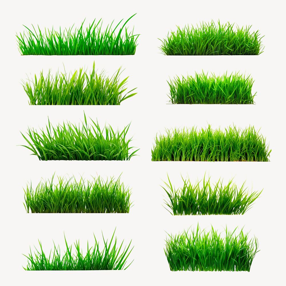 Various green grass illustrations set | Premium PSD - rawpixel