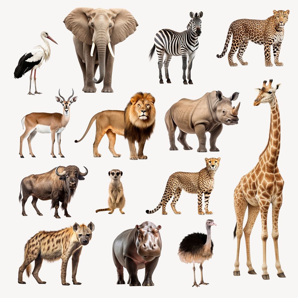 Diverse African wildlife animals set | Premium PSD - rawpixel