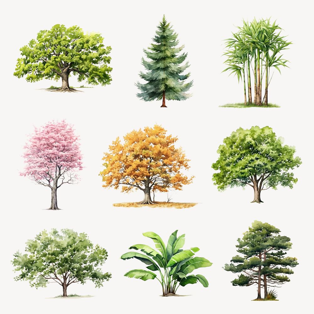 Diverse illustrated tree set psd | Premium PSD - rawpixel
