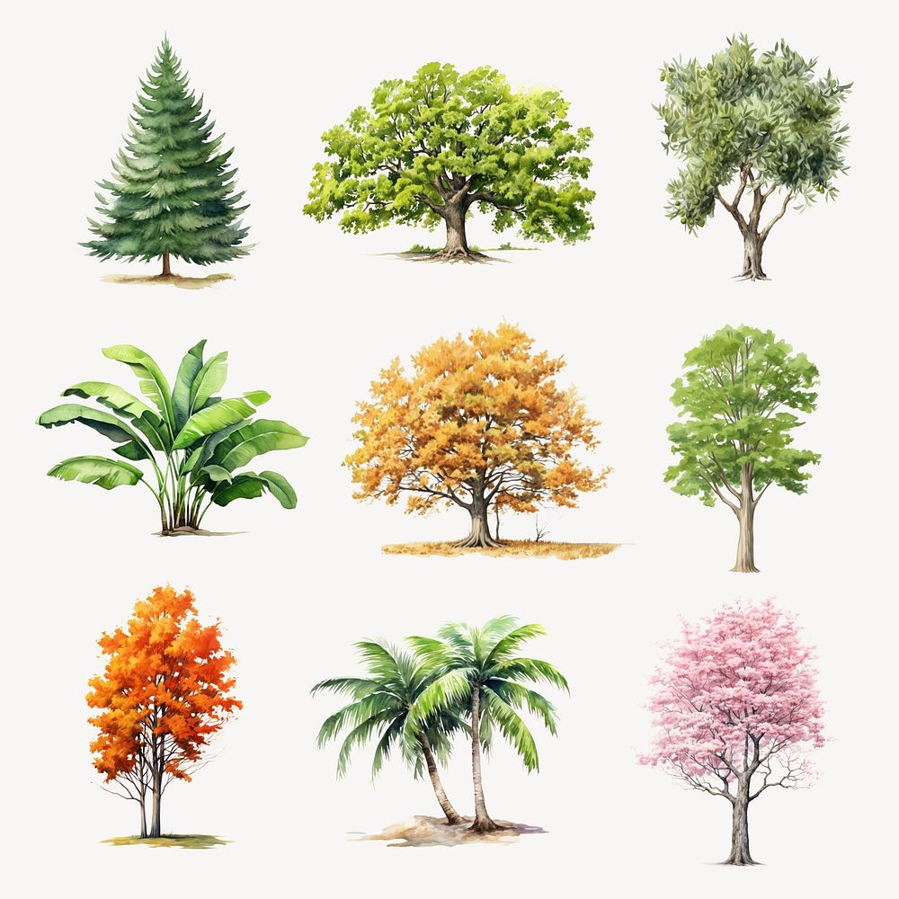 Variety illustrated trees set psd | Premium PSD - rawpixel