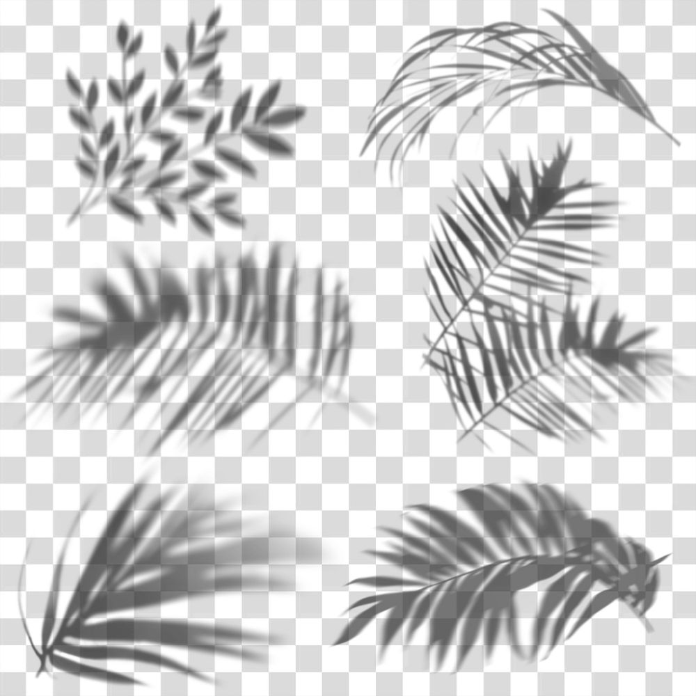 Realistic plant shadow overlays set | Premium PSD - rawpixel