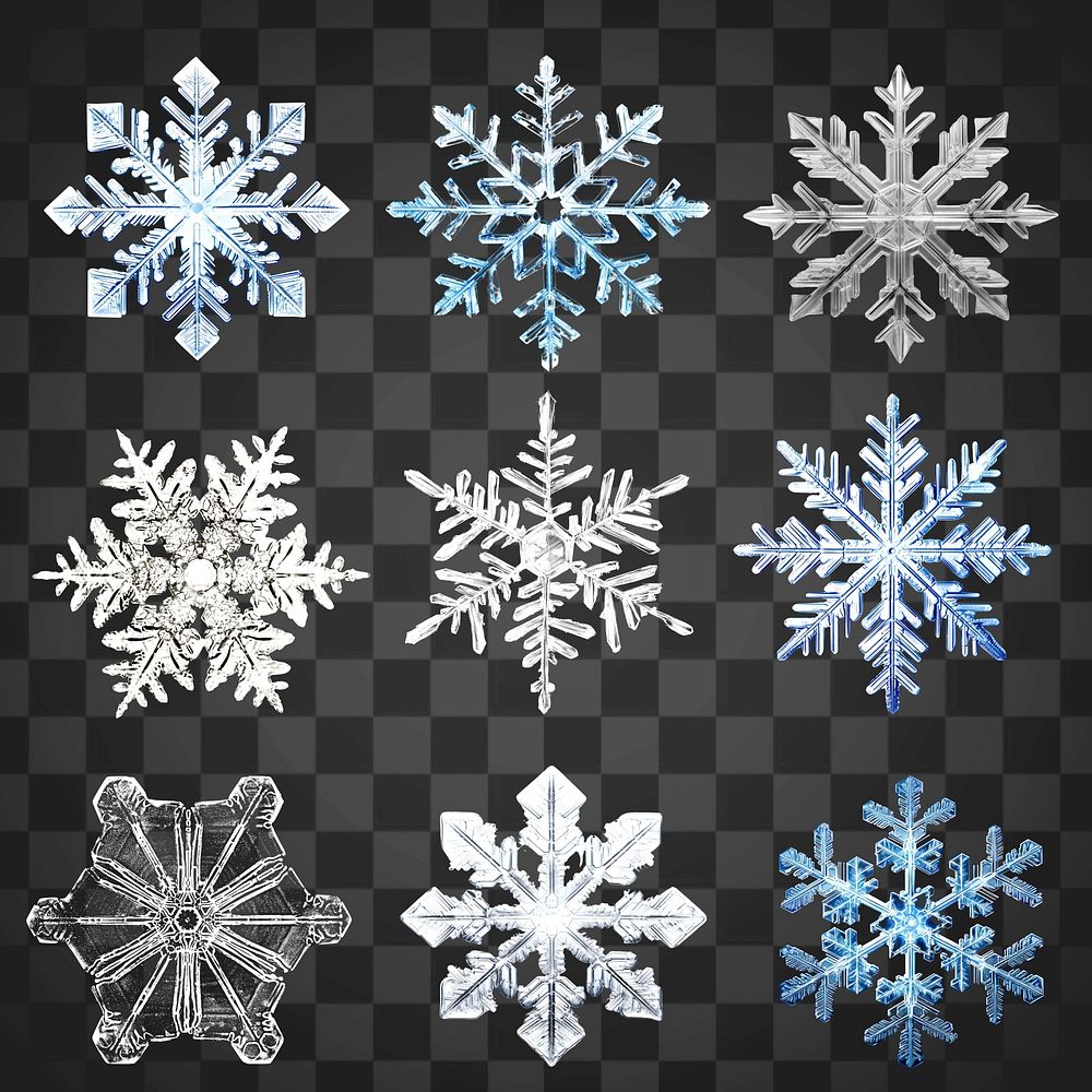 Detailed unique snowflake s set | Premium PSD - rawpixel