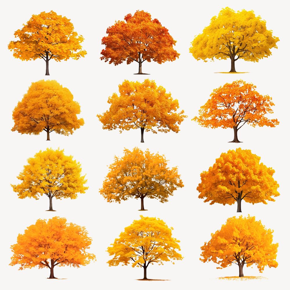 Vibrant autumn trees set psd | Premium PSD - rawpixel