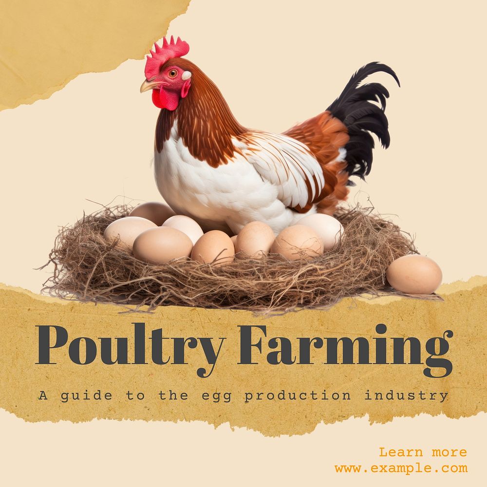 Poultry farming Instagram post template | Free Photo - rawpixel