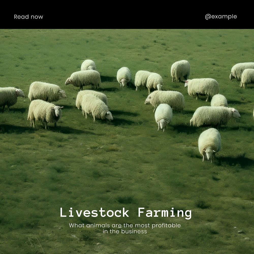Livestock farming Facebook post template | Free Photo - rawpixel