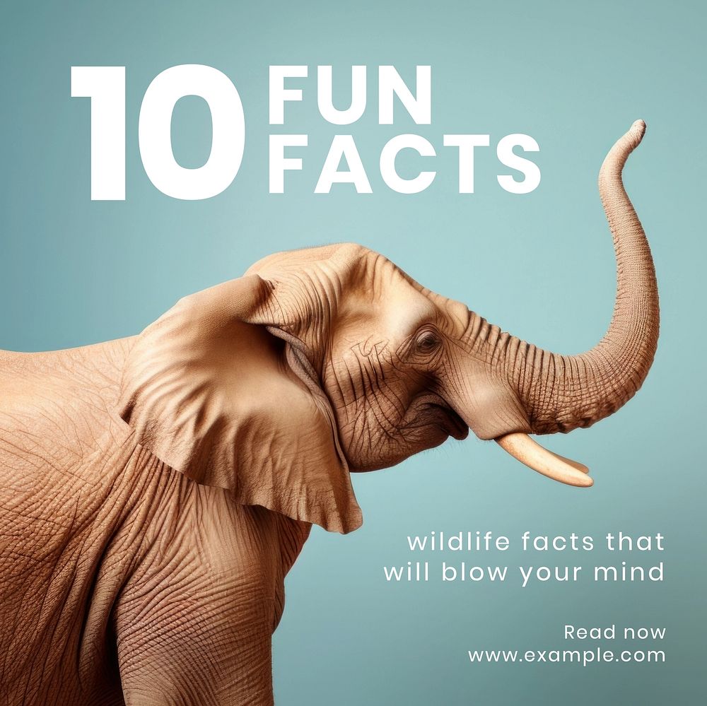 Fun facts Instagram post template | Free Photo - rawpixel